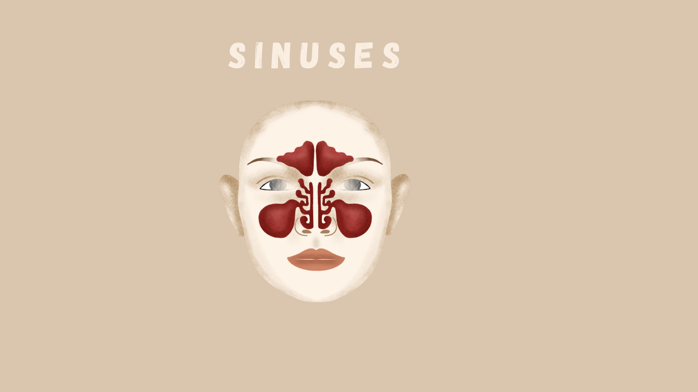 Sinusitis: What You Need to Know to Maximize Patient Outcomes ...